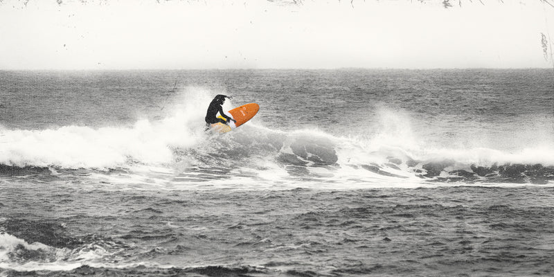 Zeus : Le Leader Européen de la Planche de Surf en Mousse